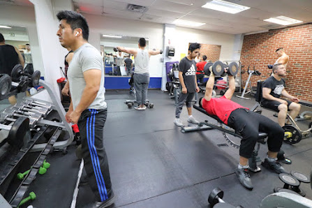 Executive Fitness Gym